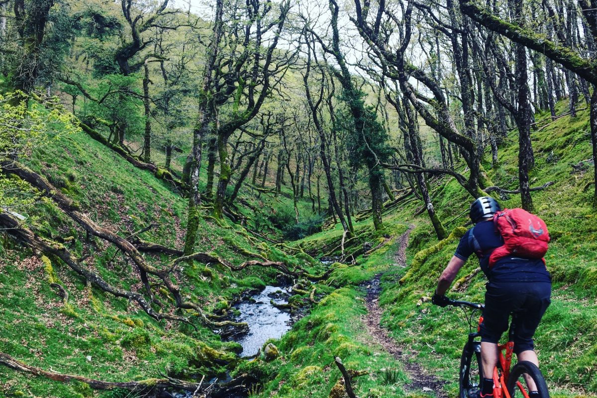 Exmoor Adventures - Active days out - Porlock, Exmoor