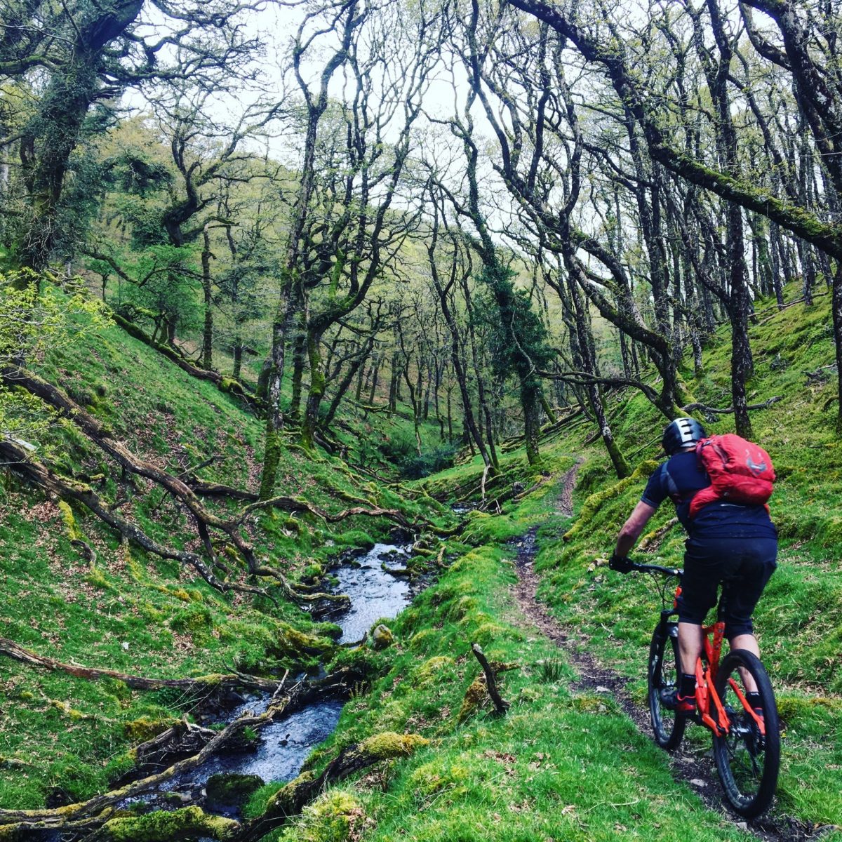 Exmoor Adventures - Active days out - Porlock, Exmoor