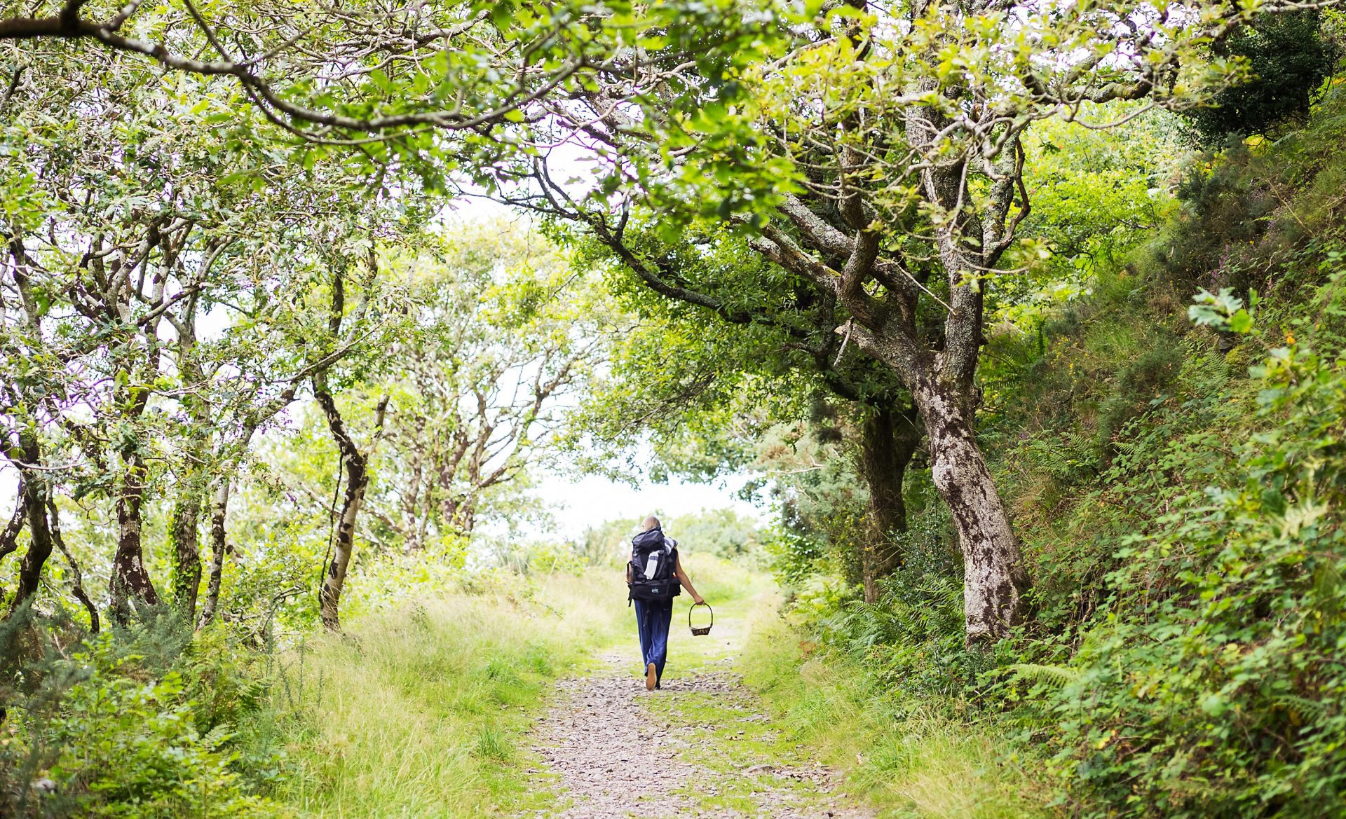 Plan Your Exmoor Escape... in any Season #HereAllYear - VisitExmoor