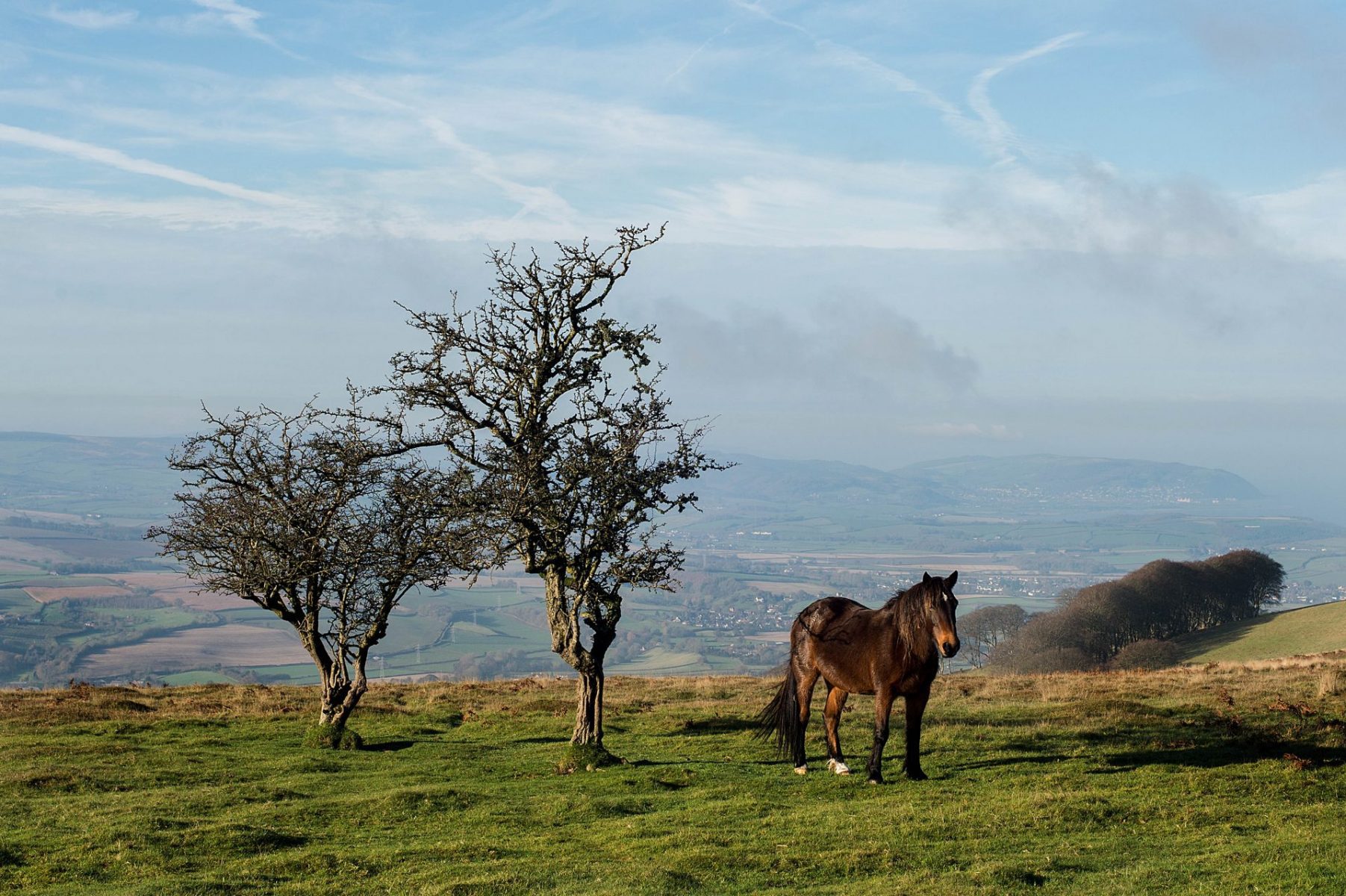 Discover the beauty of the Quantock Hills - VisitExmoor