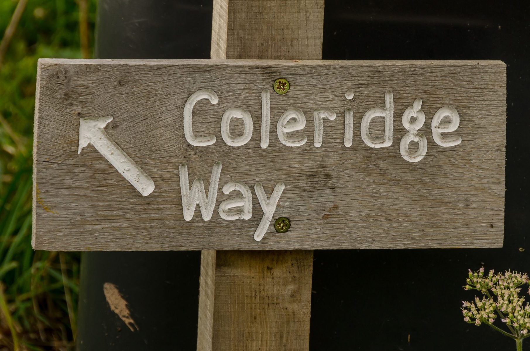 The Coleridge Way: Celebrate 250 years of poetry - VisitExmoor