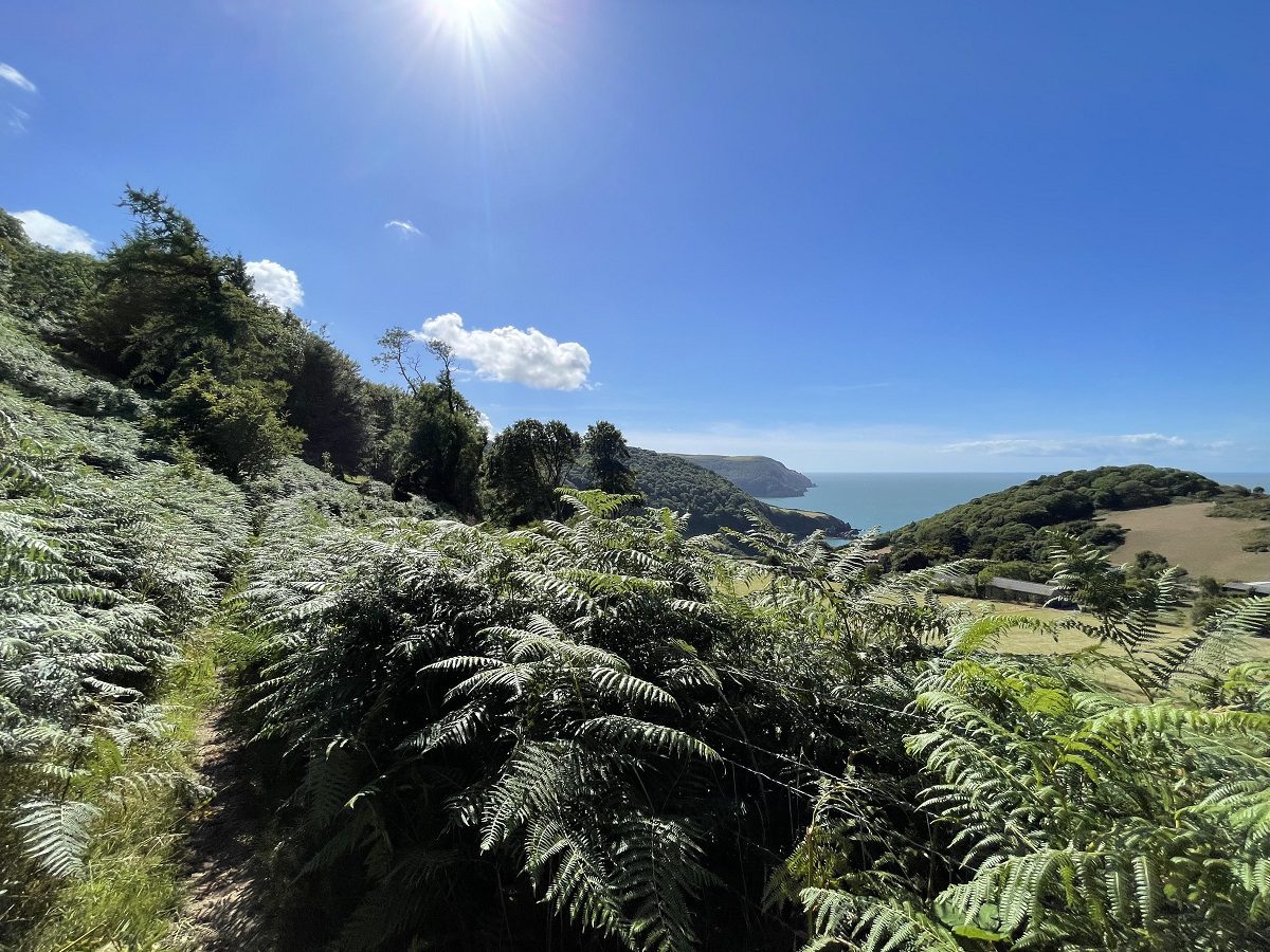 Moor and Sea Holidays - VisitExmoor