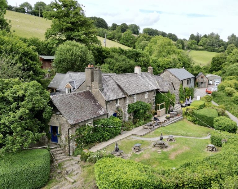 Exmoor Pony Centre Somerset - Exmoor Ponies