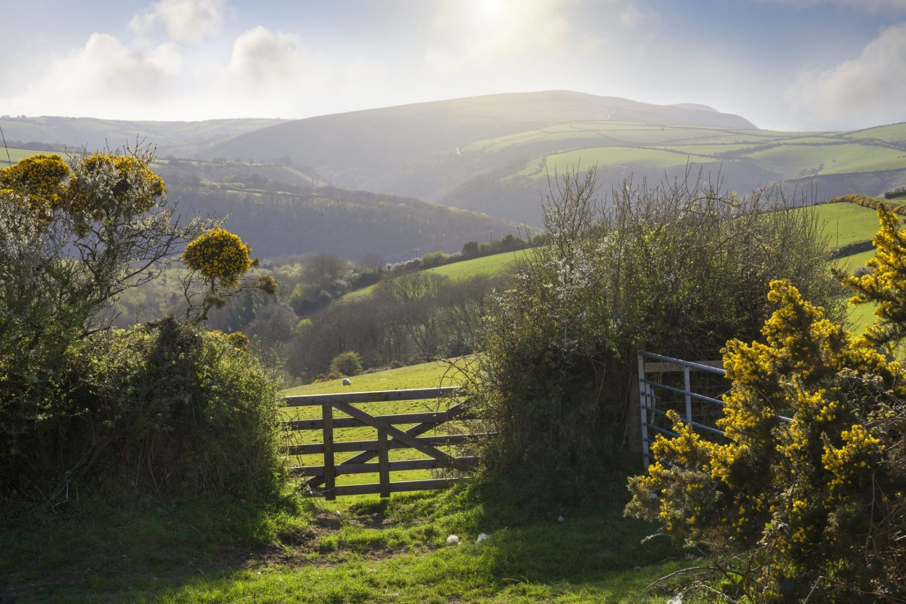 5 Simple Tips to Maximise Your Visit Exmoor Membership - VisitExmoor